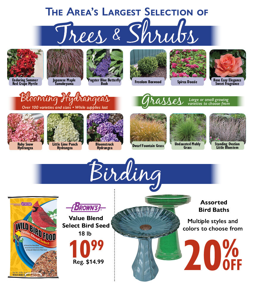 Print Weekly Specials | Stauffers of Kissel Hill