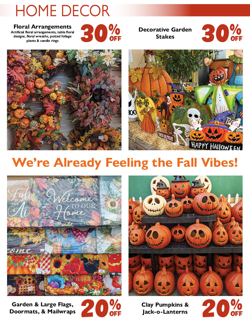 Print Weekly Specials | Stauffers of Kissel Hill