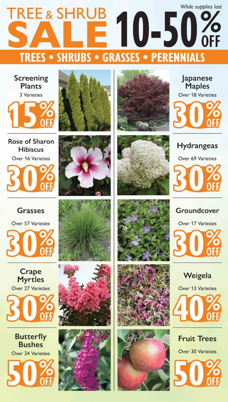 Print Weekly Specials | Stauffers of Kissel Hill