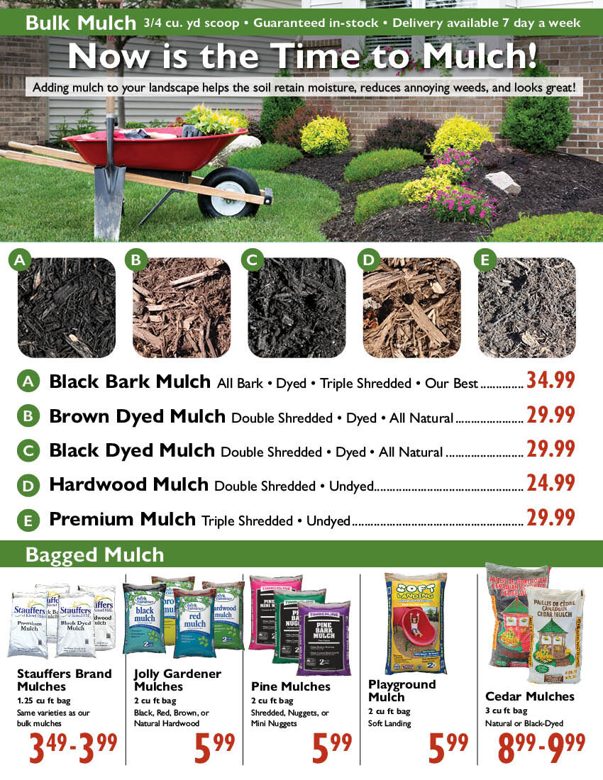 Print Weekly Specials | Stauffers of Kissel Hill